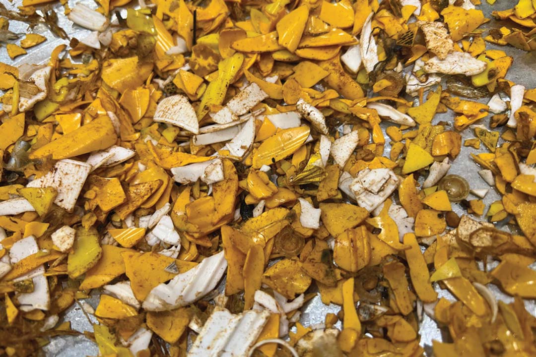 Cleansweep Food Waste Contaminant Removal System | Viably